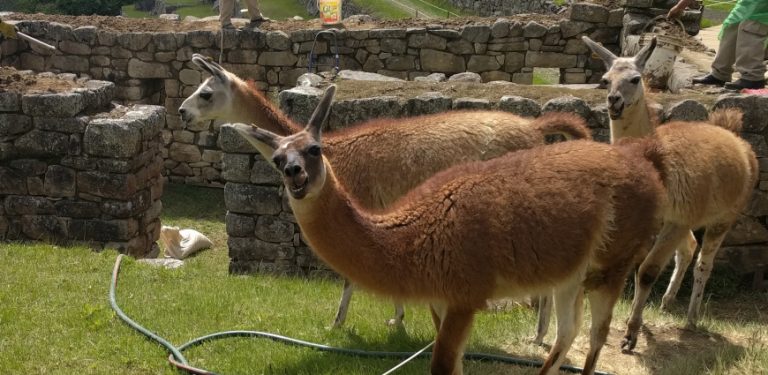 The LLM revolution - Alberto Ruibal